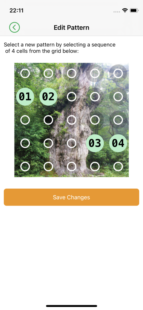 CHANGING PATTERN | PassClip